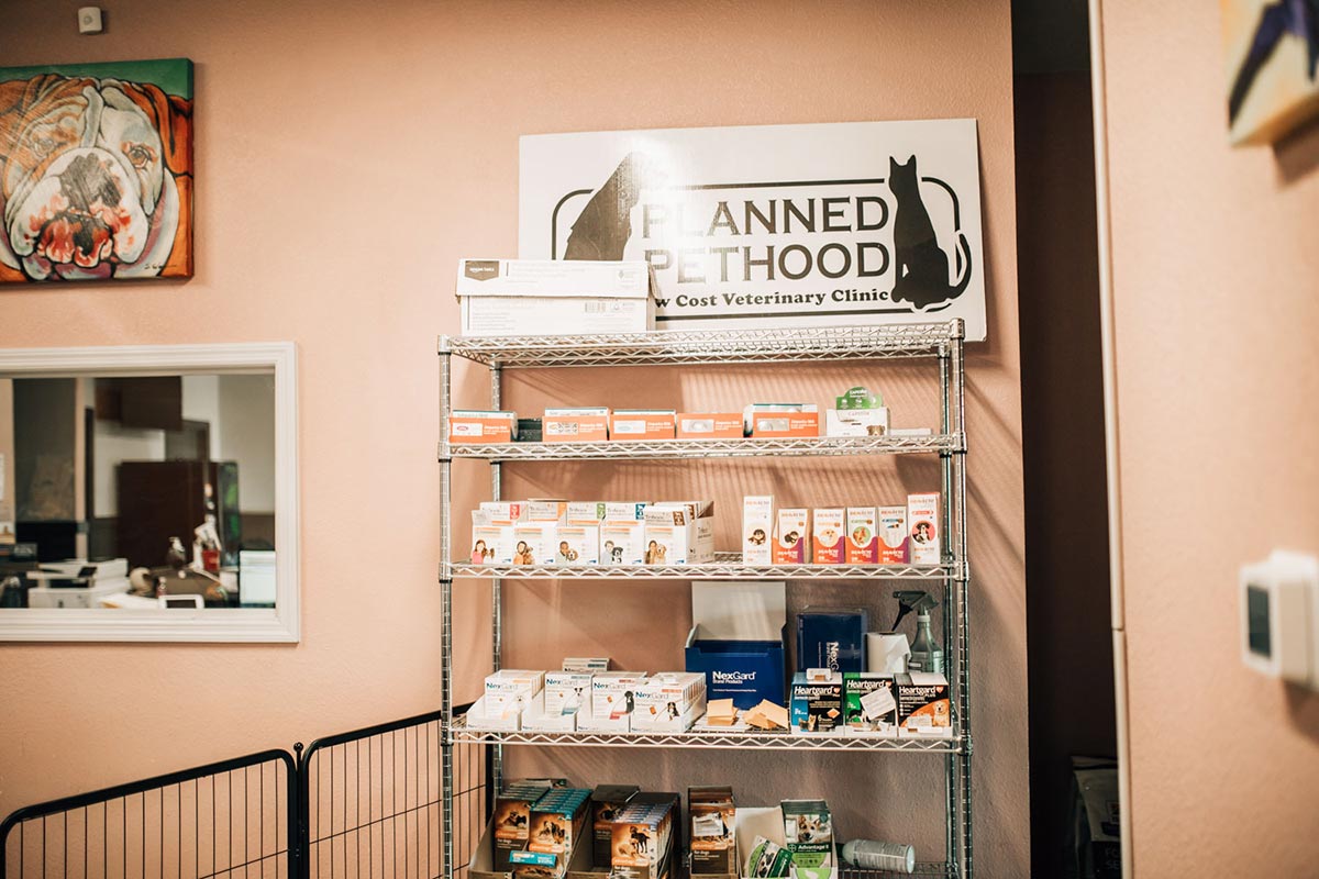 Pet Parasite Prevention in Central Florida | Planned Pethood