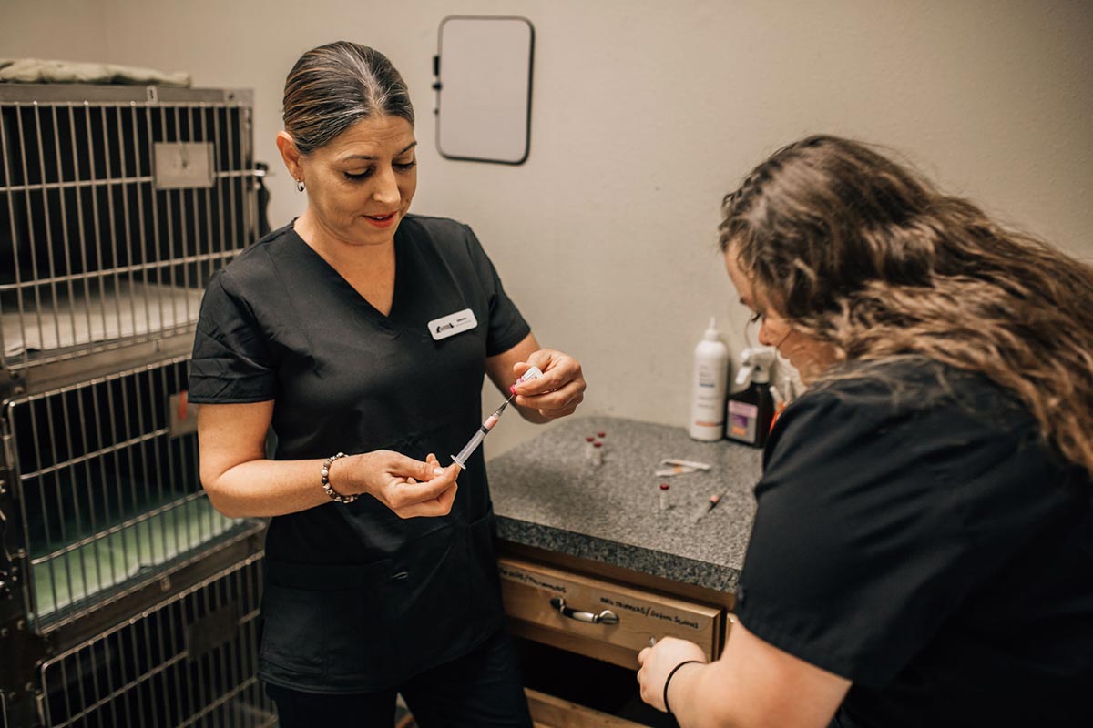 Cat & Dog Vaccinations in Central Florida | Planned Pethood