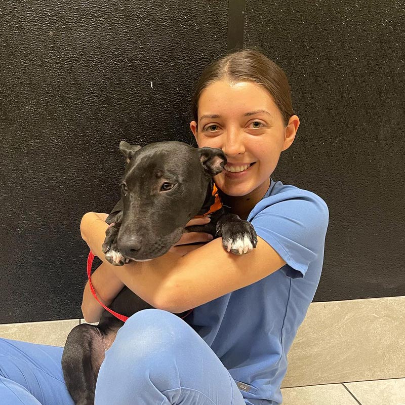 Pet Wellness in Central Florida | Planned Pethood